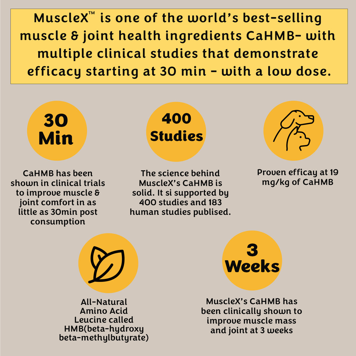 MuscleX Muscle Building Formula for Small Cats & Dogs, (90 capsules) w ...